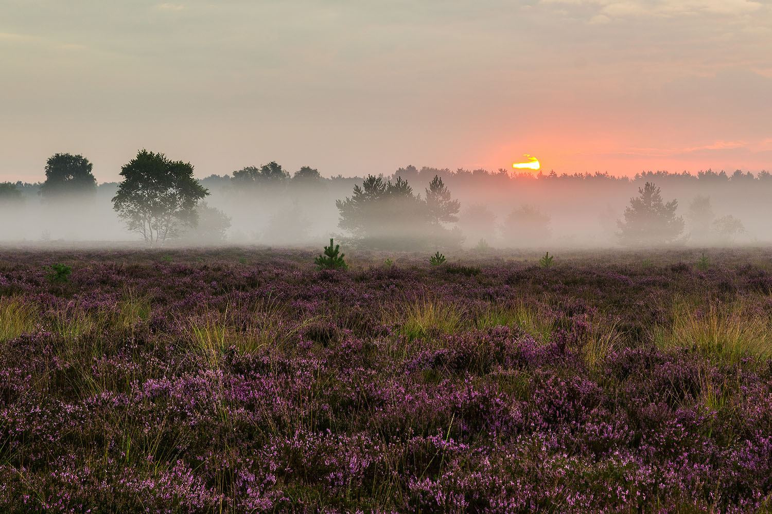 Gemeente Rucphen | Thebe Extra